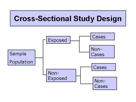 Cross Sectional Diagram Quizlet Earths Exatin