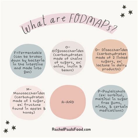 Low Fodmap Foods You May Have In Large Portions Dr Rachel Pauls
