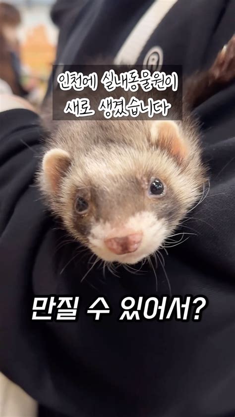 인천맛집서울맛집 최초공개 합니다 처음 보실 걸요 여기 인천 동암 입니다 맛집리뷰 3년 째 하고 있는데 방문했던 모든 맛집 식당 통 틀어서 여기가 Top3 안에