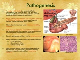 Surgery Cholangitis PPT
