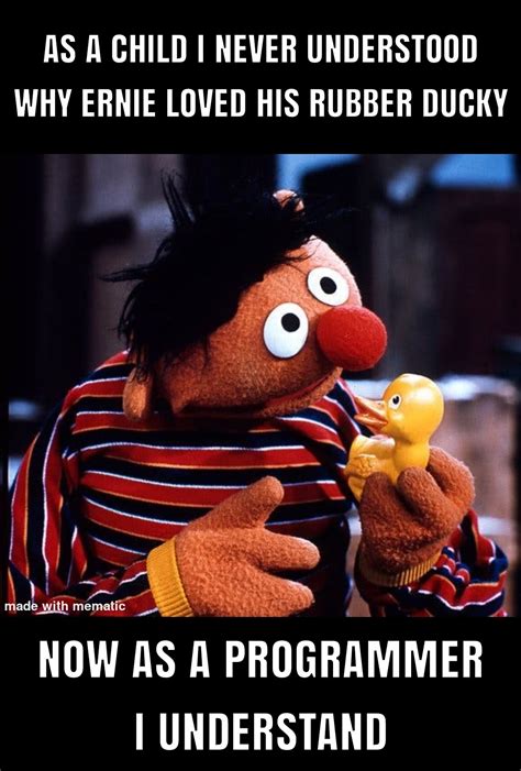 Never Underestimate The Power Of The Rubber Ducky Rprogrammerhumor