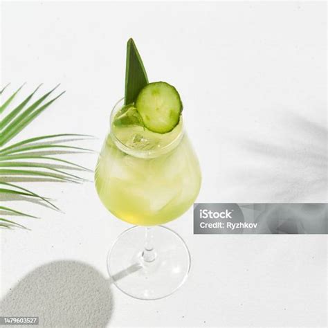 그림자가 있는 흰색 콘크리트 배경에 와인 잔에 오이 칵테일 열대 잎과 최소한의 스타일의 신선한 칵테일 여름 메뉴에 진과 오이가 들어간 알코올 음료 여름 음료 마티니에 대한