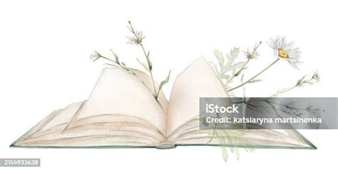 카모마일 또는 데이지와 흰색 작은 꽃 수채화 그림이 배경에 고립되어 있는 열린 책입니다 멋진 이야기와 꽃 에키네시아가 있는
