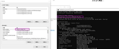 0安装两个版本的jdk8和jdk17并配置环境变量jdk8和jdk17的环境变量可以放一起吗 Csdn博客