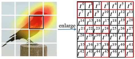 An Integrated Transformer With Collaborative Tokens Mining For Fine Grained Recognition