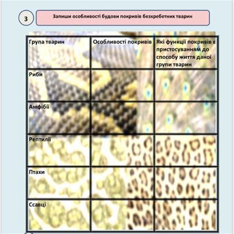 запиши особливості будови покривів безхребетних тварин Школьные Знания Com