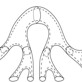 The Rigid Structure On S Download Scientific Diagram