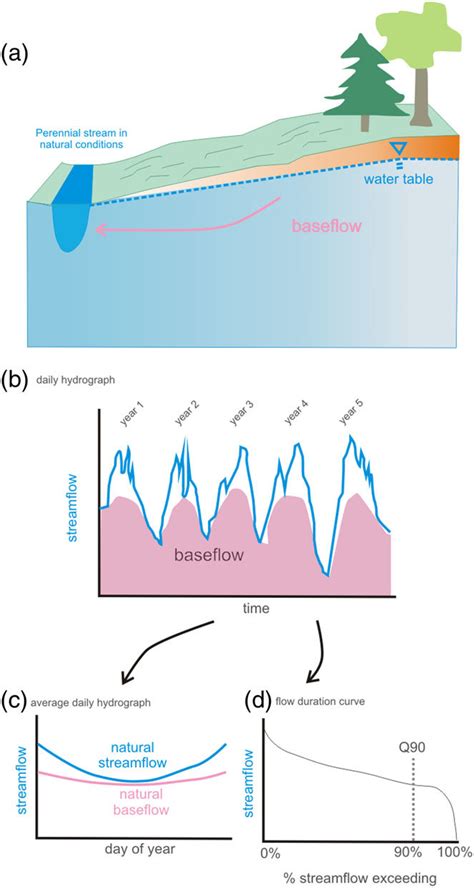A Baseflow Is The Streamflow Contribution From Groundwater That Download Scientific Diagram