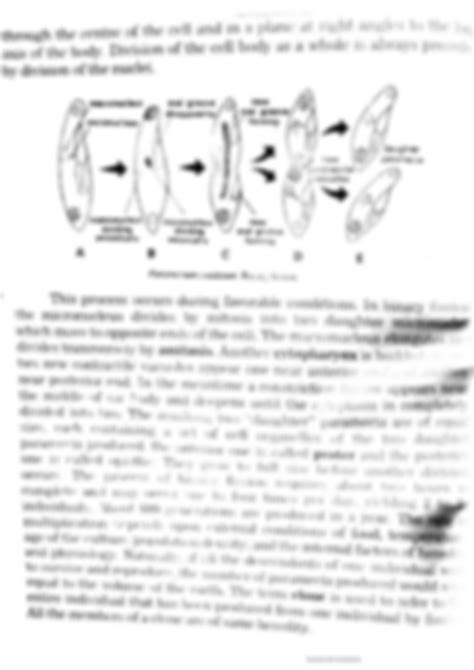 Solution Reproduction In Protozoa Studypool