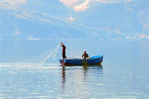 Владата го усвои предлог законот за рибарство и аквакултура Ohridpress