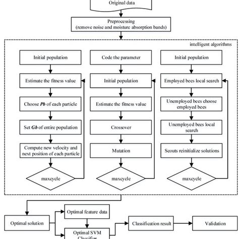 Svm Classification Process Based On The Three Optimization Algorithms Download Scientific Diagram