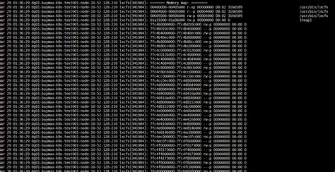 A Segfault Was Found Issue Lxc Lxcfs Github