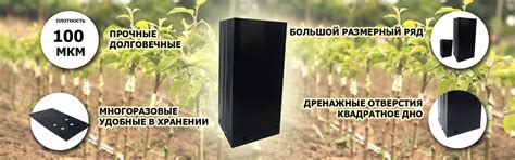 Пакеты для рассады и саженцев