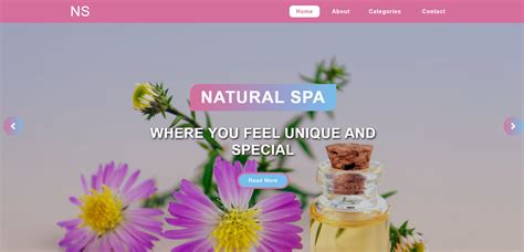 github veenaragoti oibsip task1