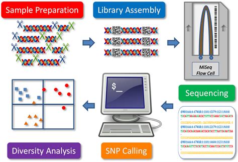 Sequencing Vs Genotyping At John Triche Blog