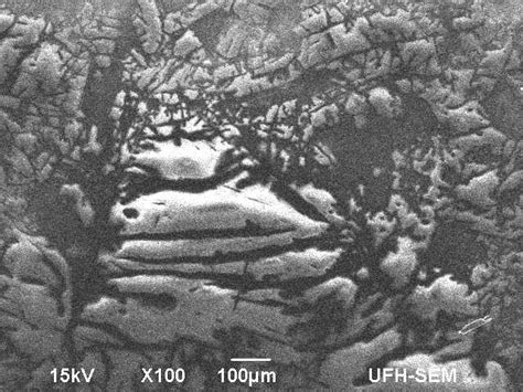 Sem Images Showing Micro Fractures In The Dolerite Figure 10 Sem Download Scientific Diagram