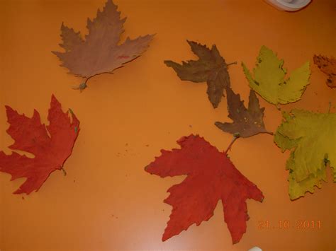 ΝΗΠΙΑΓΩΓΟΣ ΚΑΣΤΟΡΙΑ ΚΑΤΑΣΚΕΥΗ ΜΕ ΦΘΙΝΟΠΩΡΙΝΑ ΦΥΛΛΑ