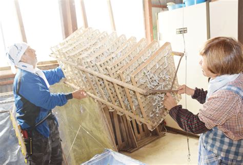 三河赤引糸最終作業 東日新聞