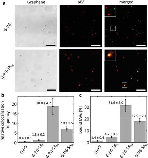 Confocal Laser Scanning Fluorescence Microscopy Clsm ‐based
