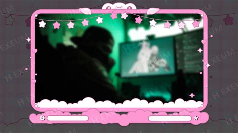 Fluffy Cute Webcam Pink Webcam Overlay Hexeum