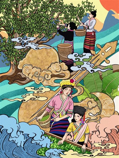 云南普洱茶与少数民族之布朗族系列插画 花瓣网