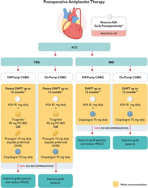New Focused Update Of The Guidelines For The Use Of Antiplatelet Therapy Canadian
