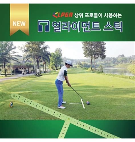 T얼라이먼트스틱 아이언 클럽별 발위치 어드레스 위치 자세 교정 초보 골린이 티몬