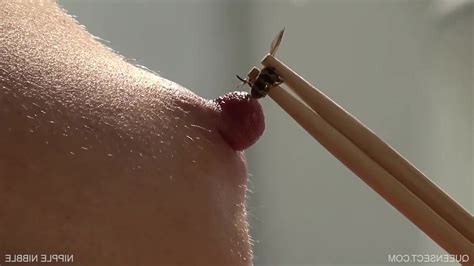 Queensect Nipple Nibble HeavyFetish