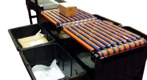 Automated Sorting System ESort Conveyors