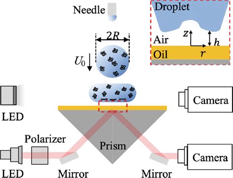 A Schematic Of The Total Internal Reflection Microscopy Tirm