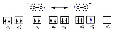 Ijms Free Full Text Superoxide Anion Chemistry—its Role At The Core