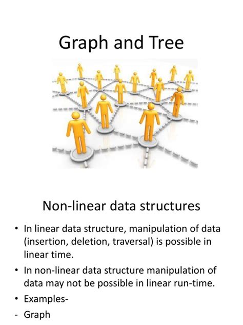 Graph Tree Final Pdf Graph Theory Mathematical Relations