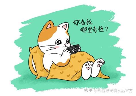 如何解释猫咪的这些奇怪行为？（上） 知乎