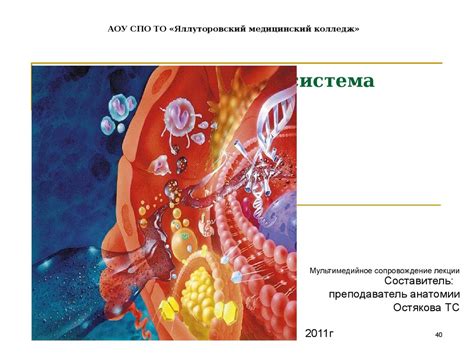 Эндокринная система презентация онлайн