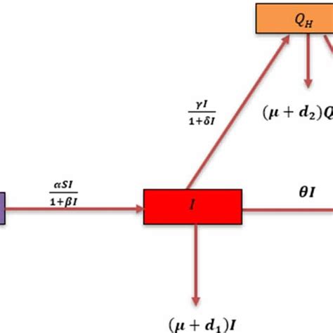 Transfer Diagram Of Infection Download Scientific Diagram