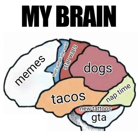 20 Funny Big Brain Memes And S For Genius Smarty Pants