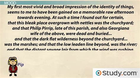 Tone Mood In Literature Definition Function Examples Lesson Study Com