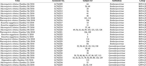Summary Of Herpesvirus Dpol Positive Bats Detected By Pcr Screening
