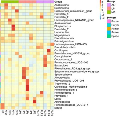 Heatmap Based On Hierarchical Clustering Solution Bray Curtis
