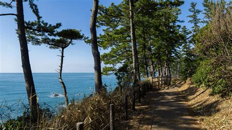 【python】windowsプログラミング学習入門・準備 ジユーズ