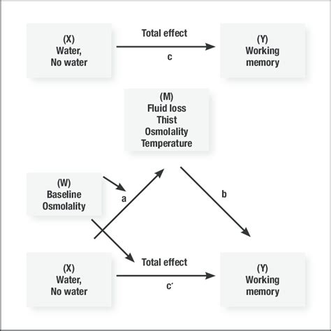 Schematic Of The Moderated Mediation Analysis Download Scientific