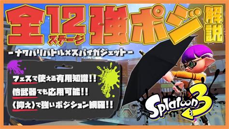 スプラトゥーン3【スパイガジェットナワバリ全ステージ強ポジ解説】フェスで使える強ポジションを全ステージ解説！ver120スパイ