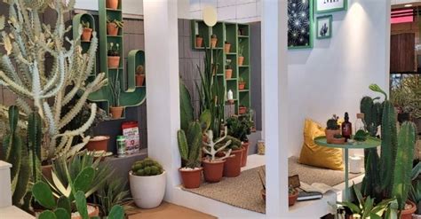 รวมรูปภาพของ ไอเดีย 10 แบบสวน ประยุกต์จัดได้ทุกจุดในบ้าน พื้นที่เล็กแค่