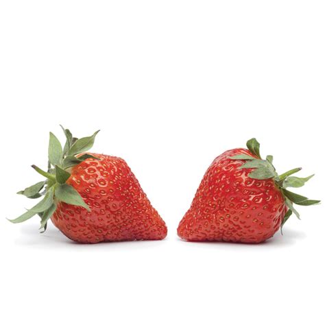 Fraise Jmf Partenariat