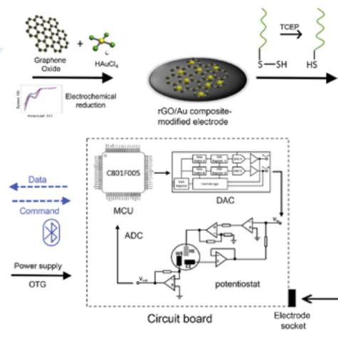 Pictorial Illustration Of Smartphone Based Electrochemical Biosensor Download Scientific