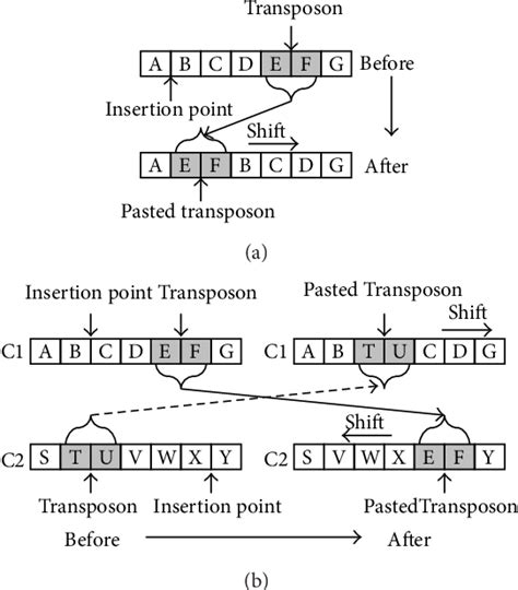 figure 1 from an improved quantum behaved particle swarm optimization algorithm with elitist