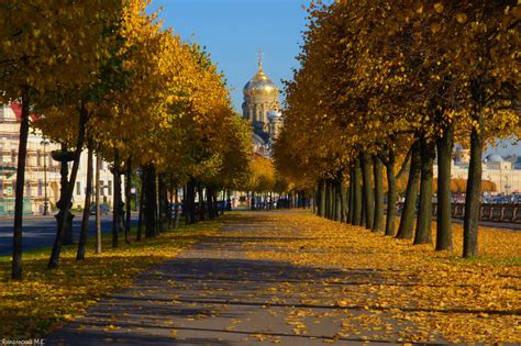 Осень на Васильевском острове Михаил СПб Социальная сеть ФотоКто