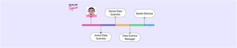 The Data Scientist Career Path A Complete Guide Scaler Topics