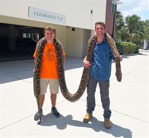 Big Snakes Python