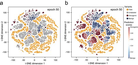T SNE Plot Of The Training Data Set Includng 10 000 Fake Variants From Download Scientific